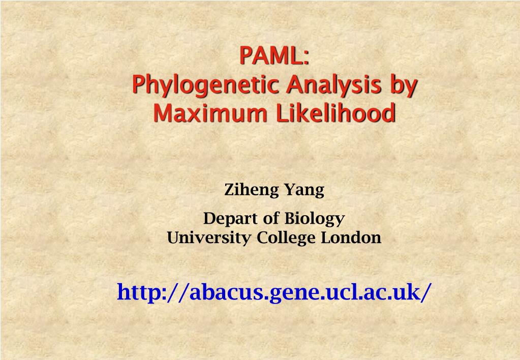 PPT - PAML: Phylogenetic Analysis by Maximum Likelihood PowerPoint ...
