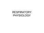 PPT - Respiratory Physiology PowerPoint Presentation, free download ...