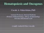 PPT - Hematopoiesis PowerPoint Presentation, free download - ID:4122509