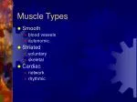 PPT - Muscle movements, types, and names PowerPoint Presentation, free ...