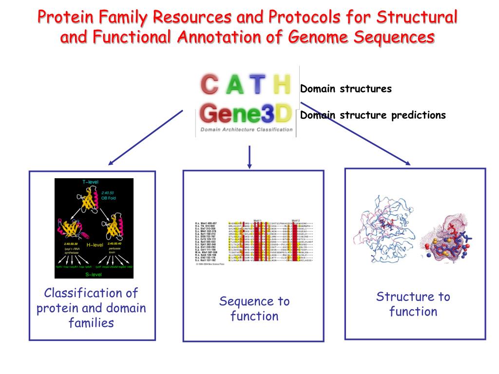 PPT - Classification of protein and domain families PowerPoint ...