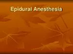 PPT - EPIDURAL TECHNIQUE PowerPoint Presentation, free download - ID:391068
