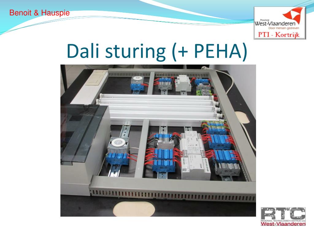 PPT - Dali sturing (+ PEHA) PowerPoint Presentation, free download - ID ...