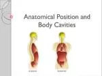 PPT - Anatomical Body Regions PowerPoint Presentation, free download ...