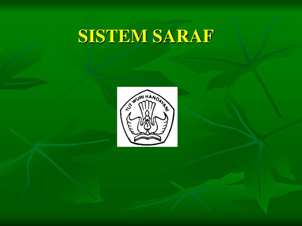 PPT - SISTEM SARAF PowerPoint Presentation, free download - ID:4579815
