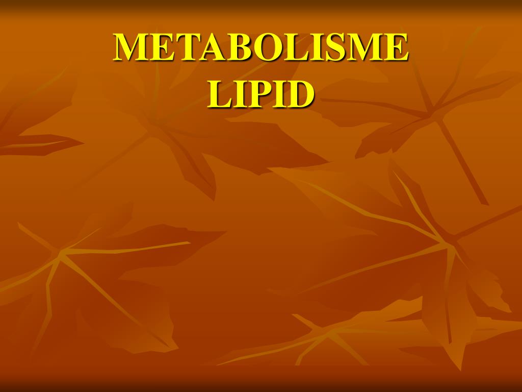 PPT - METABOLISME LIPID PowerPoint Presentation, free download - ID:4580613