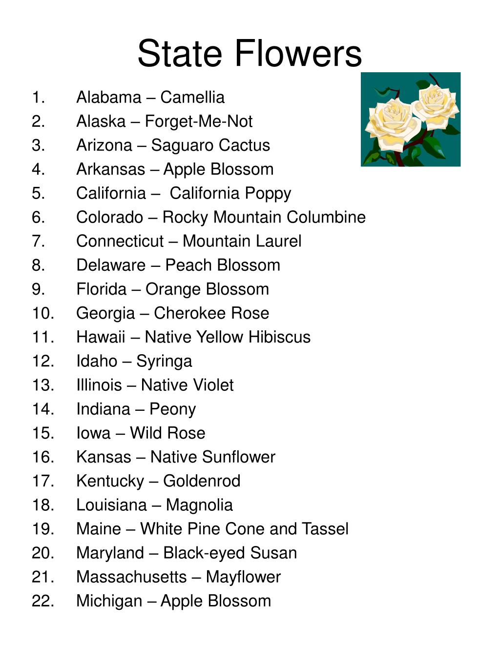 PPT - State Flowers PowerPoint Presentation, free download - ID:4581353