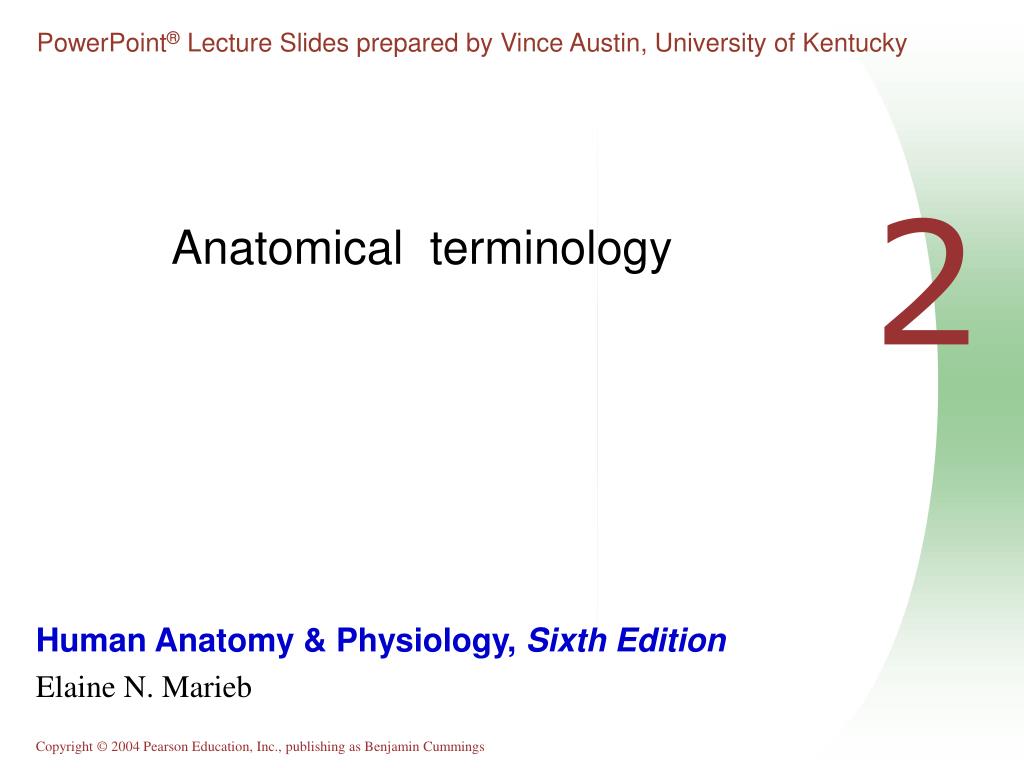 PPT - Anatomical terminology PowerPoint Presentation, free download ...