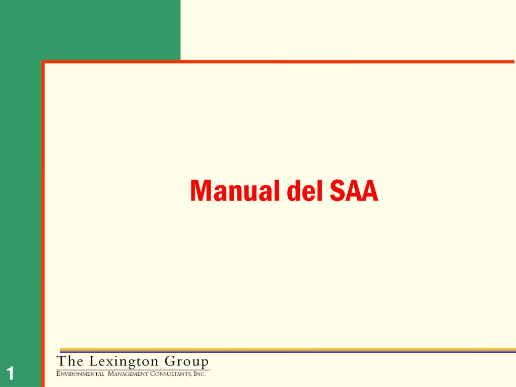 PPT - Manual del SAA PowerPoint Presentation, free download - ID:4584675