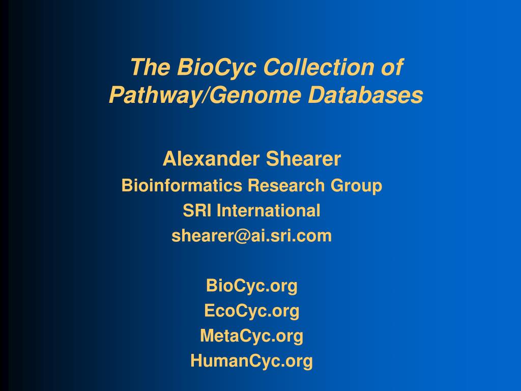 PPT - The BioCyc Collection of Pathway/Genome Databases PowerPoint Presentation - ID:4585039