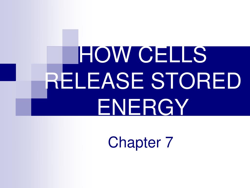 PPT - HOW CELLS RELEASE STORED ENERGY PowerPoint Presentation, free ...