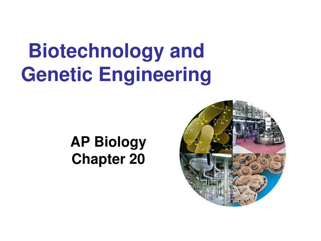 PPT - Biotechnology and Genetic Engineering PowerPoint Presentation ...