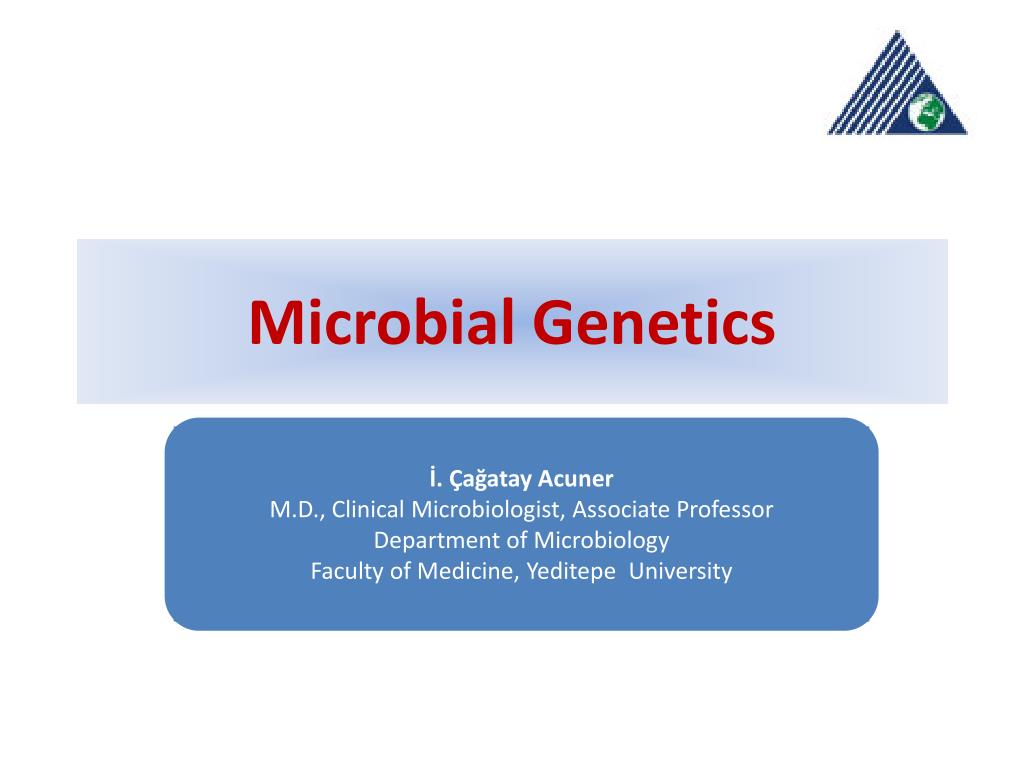 PPT - Microbial Genetics PowerPoint Presentation, free download - ID ...