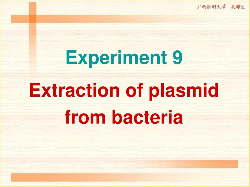 PPT - Experiment 9 Extraction of plasmid from bacteria PowerPoint ...