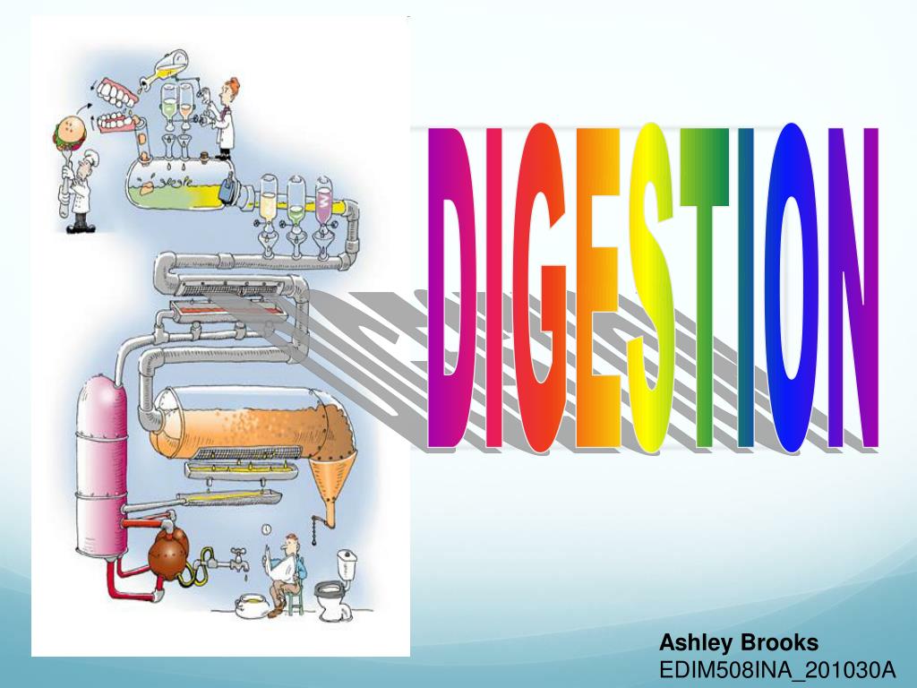 PPT - DIGESTION PowerPoint Presentation, free download - ID:4590858