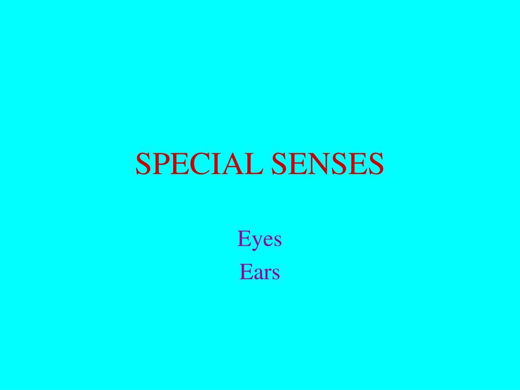 PPT - SPECIAL SENSES PowerPoint Presentation, free download - ID:4594177