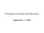 PPT - Nucleic Acid Structure and Stability PowerPoint Presentation ...