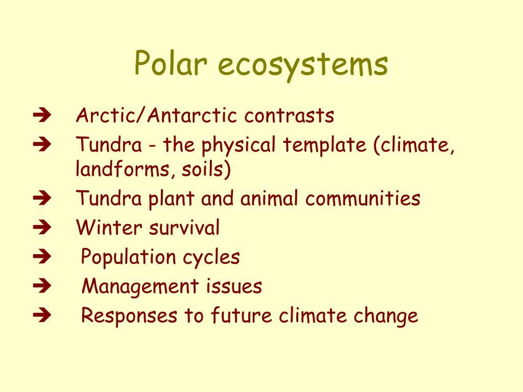 PPT - Polar ecosystems PowerPoint Presentation, free download - ID:4600505