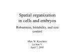 PPT - SPATIAL ORGANIZATION PowerPoint Presentation, free download - ID ...