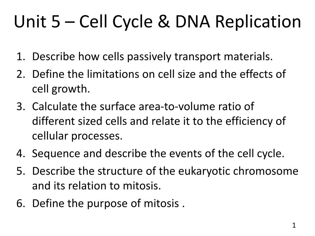 PPT - Unit 5 – Cell Cycle & DNA Replication PowerPoint Presentation ...