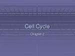 PPT - CYCAS Structure, Reproduction & Life-Cycle PowerPoint ...