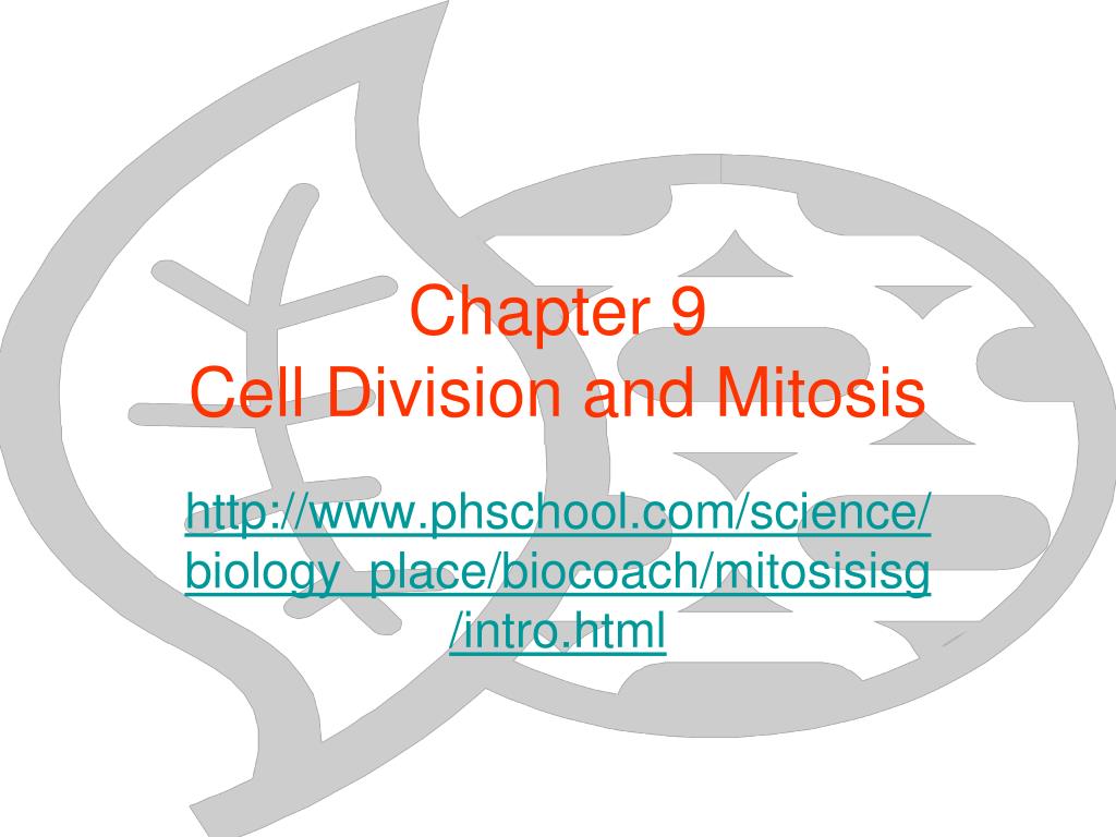 PPT - Chapter 9 Cell Division and Mitosis PowerPoint Presentation, free ...