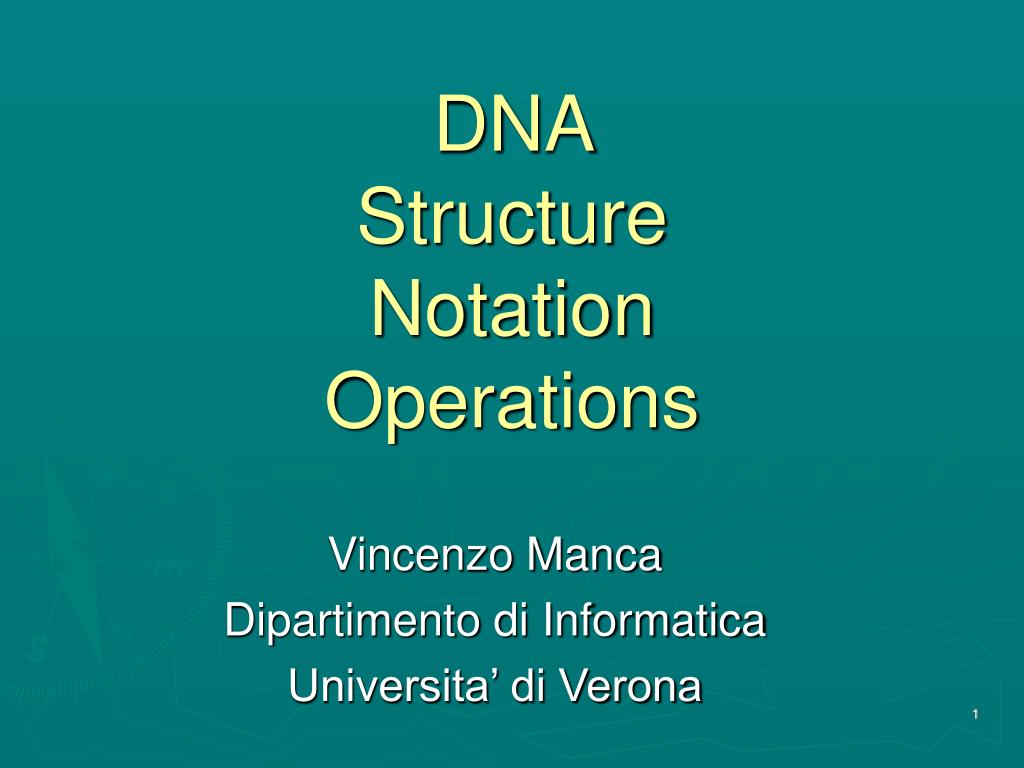 PPT - DNA Structure Notation Operations PowerPoint Presentation, free ...