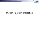 PPT - Protein PowerPoint Presentation, free download - ID:6696818