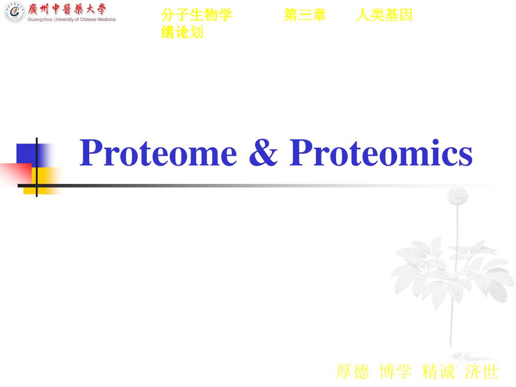 PPT - Proteome & Proteomics PowerPoint Presentation, free download - ID ...
