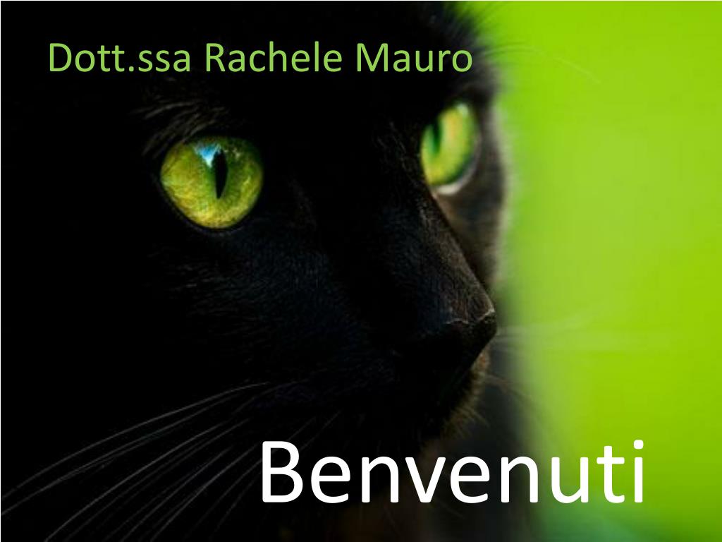 PPT - Dott.ssa Rachele Mauro PowerPoint Presentation, free download ...