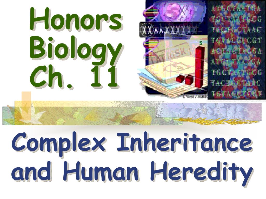 PPT - Honors Biology Ch. 11 PowerPoint Presentation, free download - ID ...