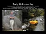 PPT - Andy Goldsworthy Land art3 PowerPoint Presentation, free download ...
