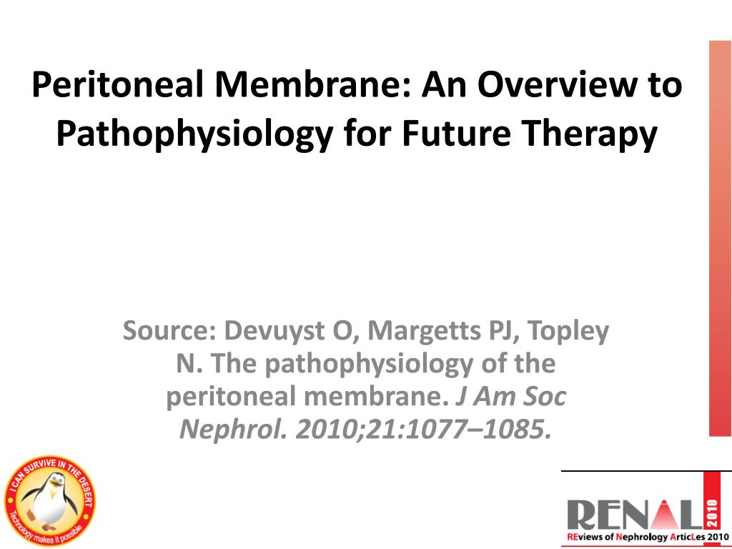 PPT - Peritoneal Membrane: An Overview to Pathophysiology for Future ...