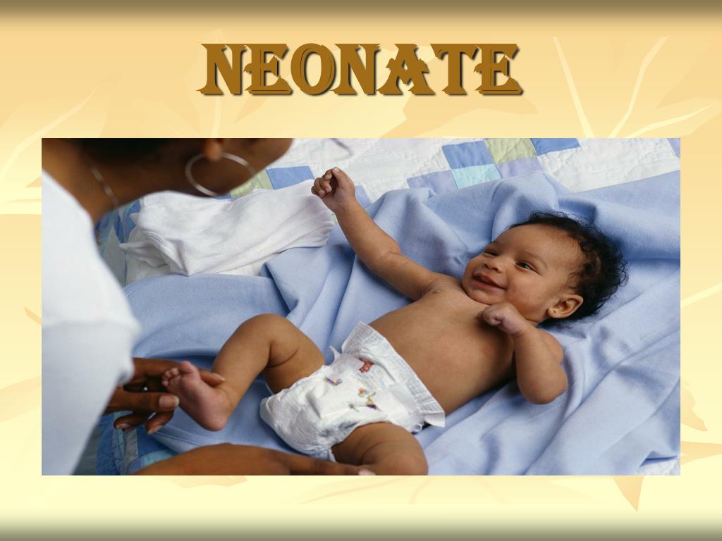 PPT - Neonate PowerPoint Presentation, free download - ID:4611277