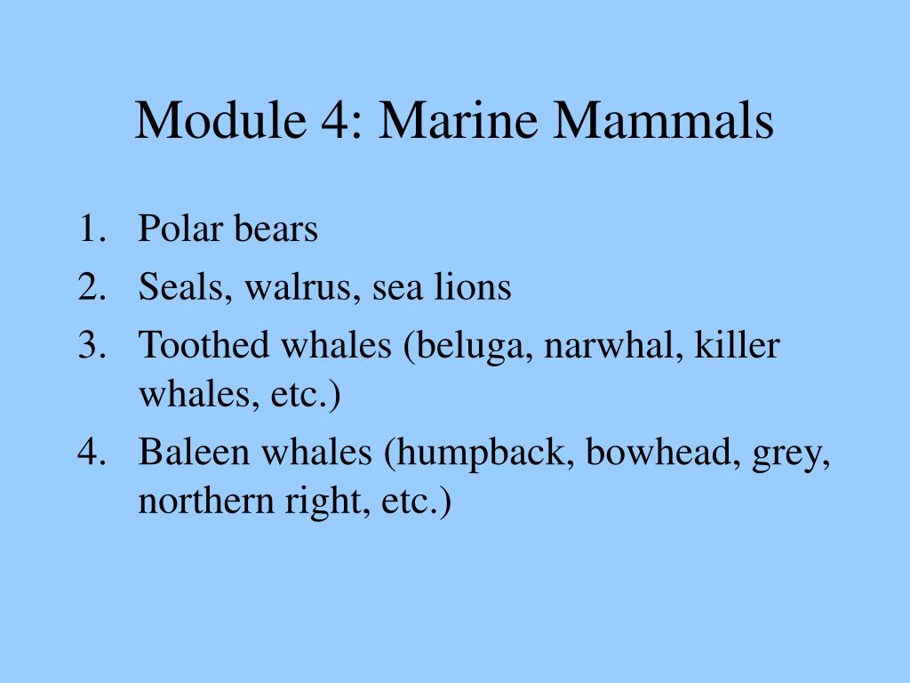 PPT - Module 4: Marine Mammals PowerPoint Presentation, free download ...