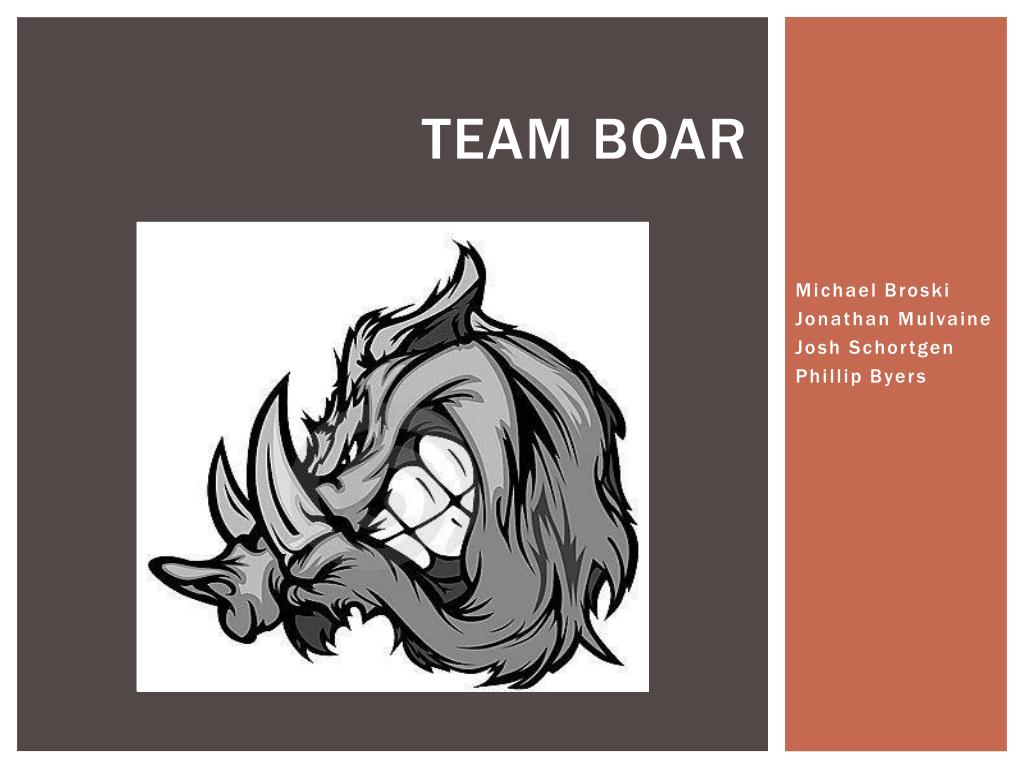 PPT - TEAM BOAR PowerPoint Presentation, free download - ID:4614050