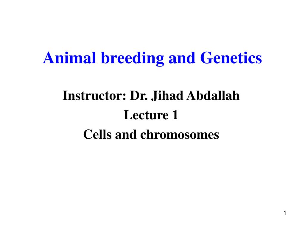 PPT - Animal breeding and Genetics PowerPoint Presentation, free ...