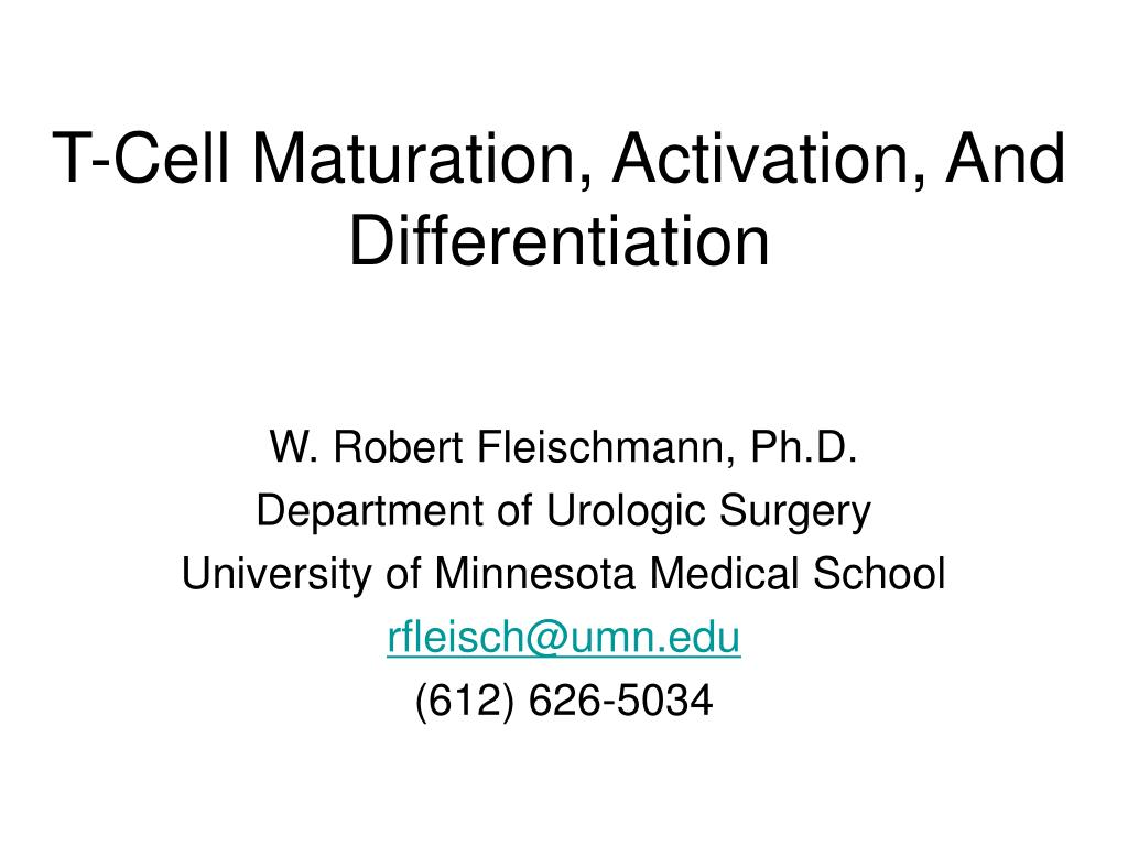 PPT - T-Cell Maturation, Activation, And Differentiation PowerPoint ...