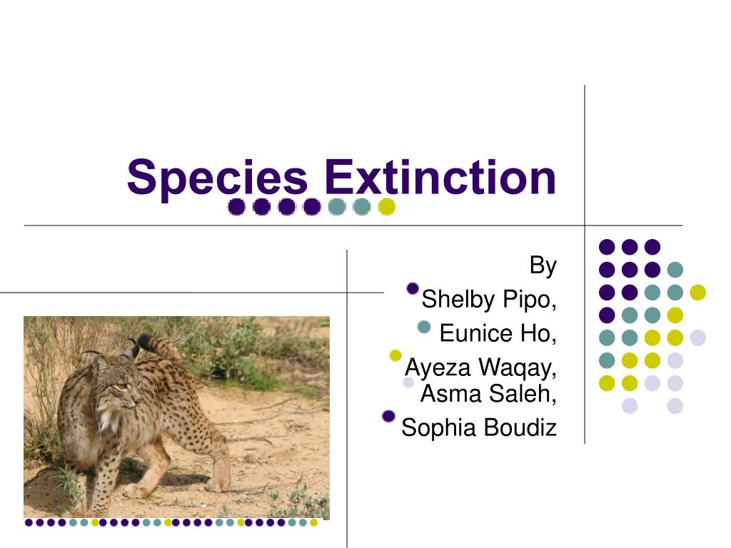 PPT - Species Extinction PowerPoint Presentation, free download - ID ...
