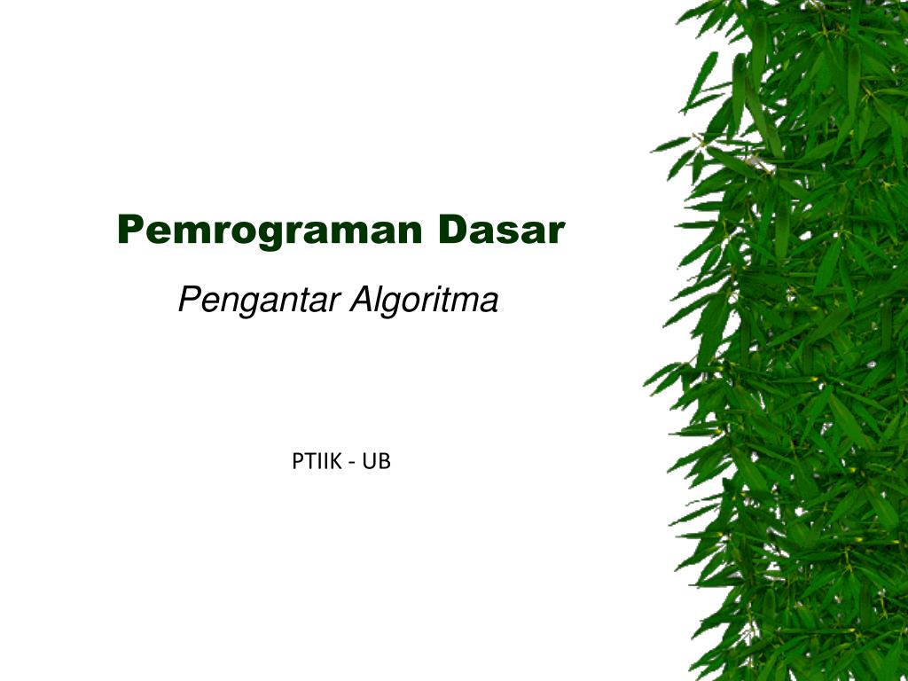 PPT - Pemrograman Dasar PowerPoint Presentation, free download - ID:4621802
