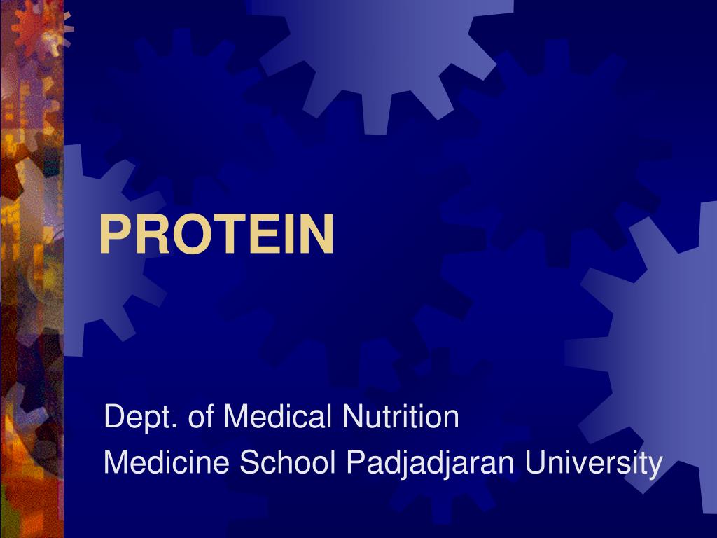 PPT - PROTEIN PowerPoint Presentation, free download - ID:4622005
