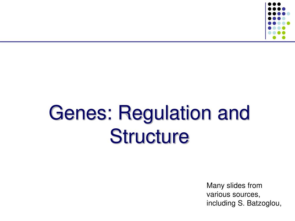 PPT - Genes: Regulation and Structure PowerPoint Presentation, free ...