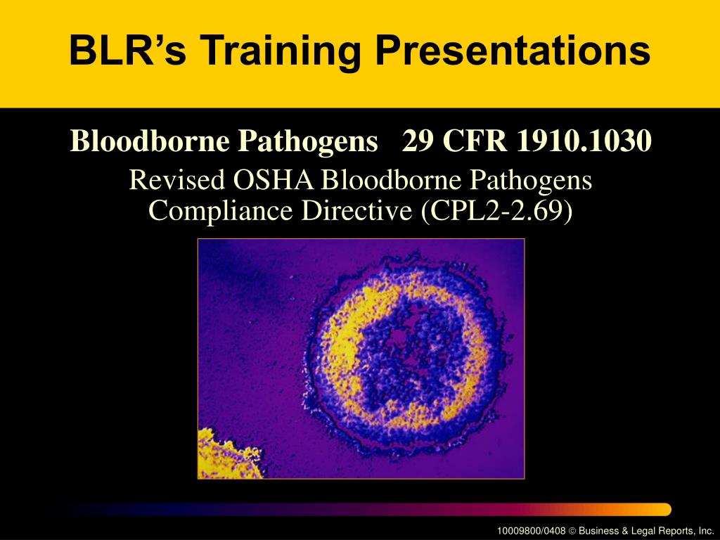 PPT - BLR’s Training Presentations PowerPoint Presentation, free ...