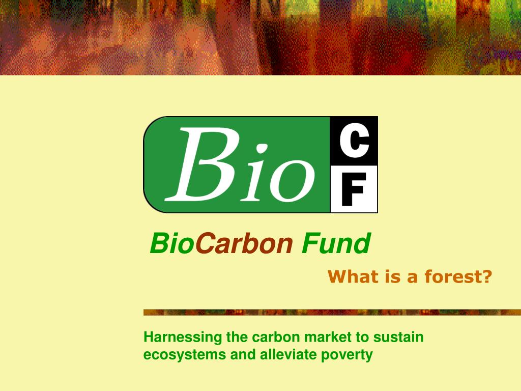 PPT - Bio Carbon Fund PowerPoint Presentation, free download - ID:4629012
