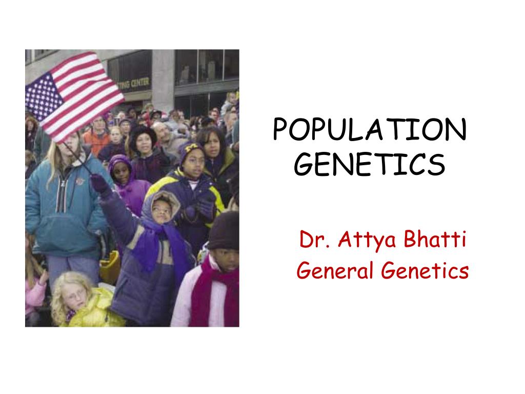PPT - POPULATION GENETICS PowerPoint Presentation, free download - ID ...