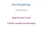 PPT - Plant Nomenclature Michael G. Simpson PowerPoint Presentation ...