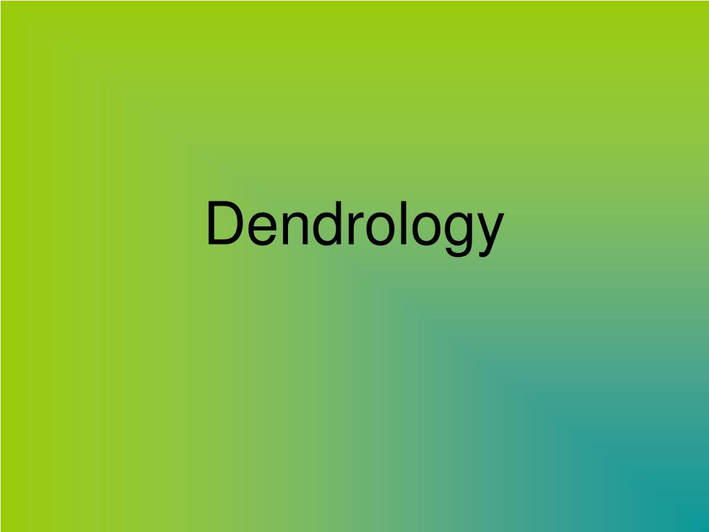 PPT - Dendrology PowerPoint Presentation, free download - ID:4630262