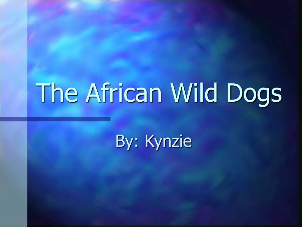 PPT - The African Wild Dogs PowerPoint Presentation, free download - ID ...