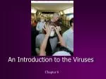 PPT - An Introduction to Viruses PowerPoint Presentation - ID:2274891