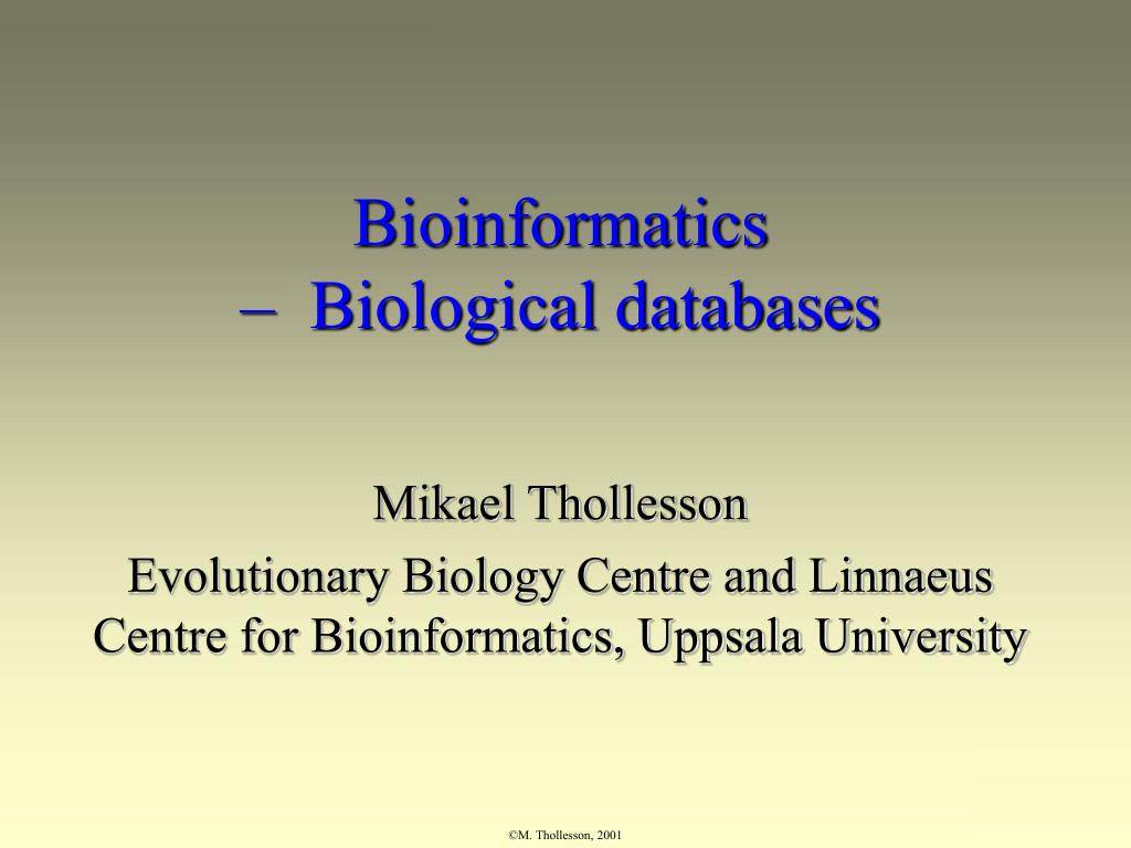 PPT - Bioinformatics – Biological databases PowerPoint Presentation ...